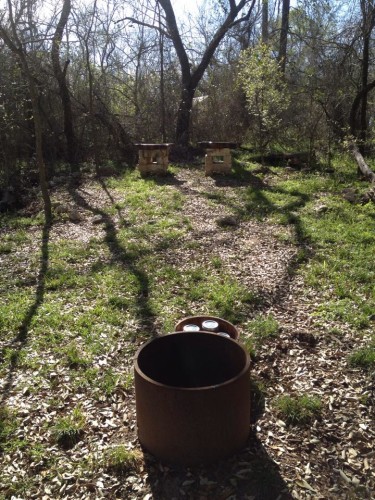 How local Pagan communities celebrate Spring - Living, Paganism
