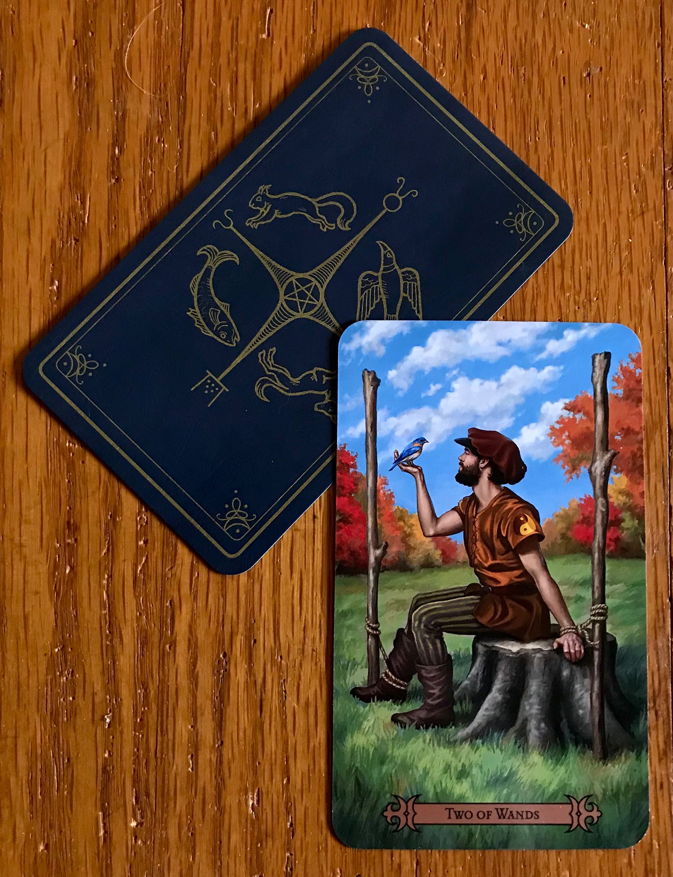 Pagan Community Notes: Crossings of the Veil, Indigenous voter impacted ...