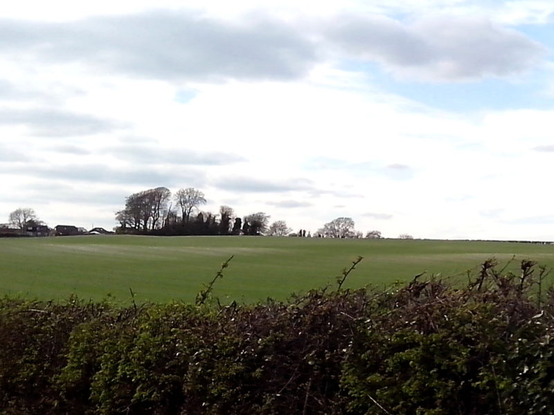 Uncovering the Past: The construction of the wood henge of Mount ...