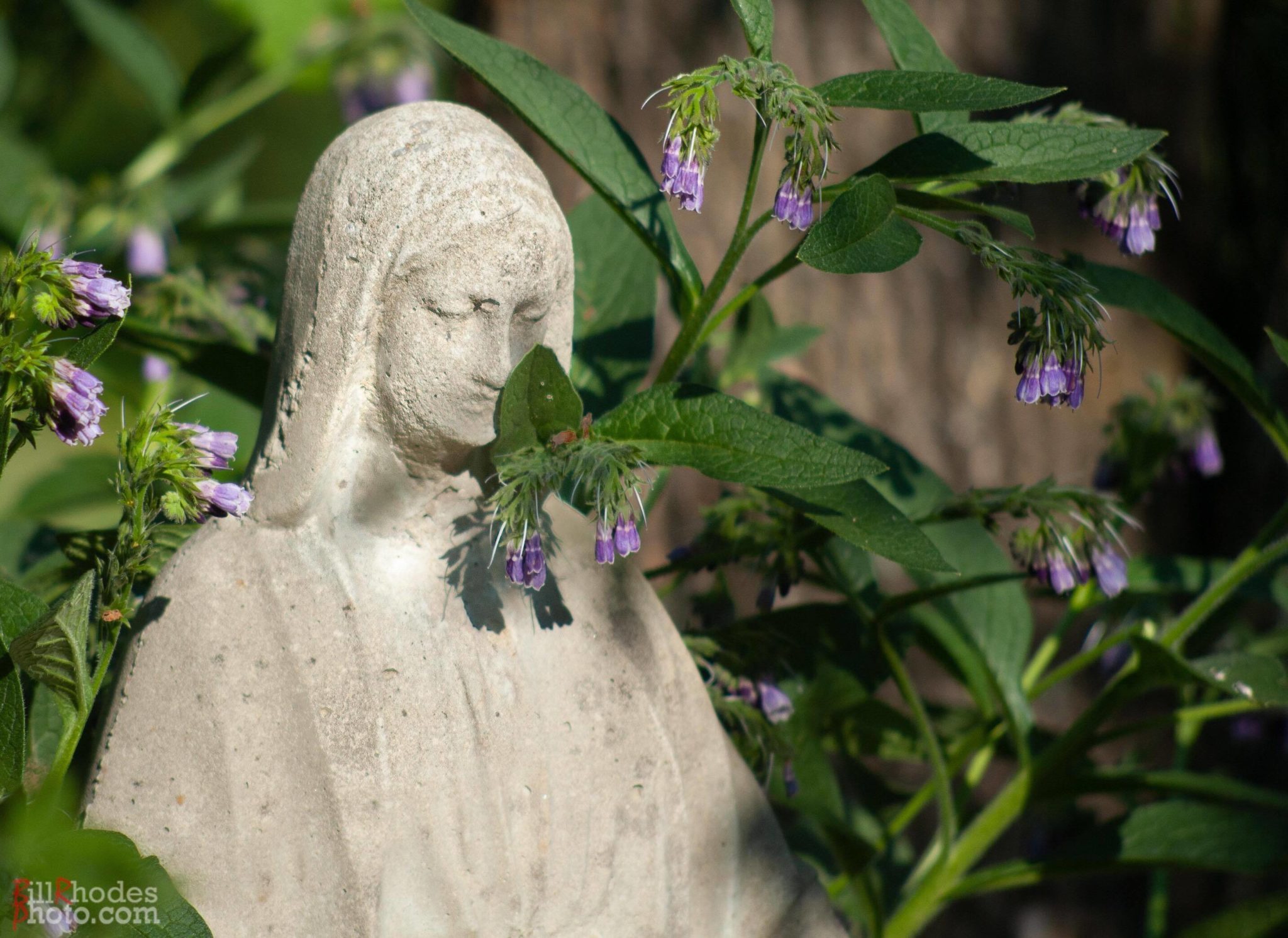 Column: In the Presence of Mary - Living, Paganism, Perspectives ...