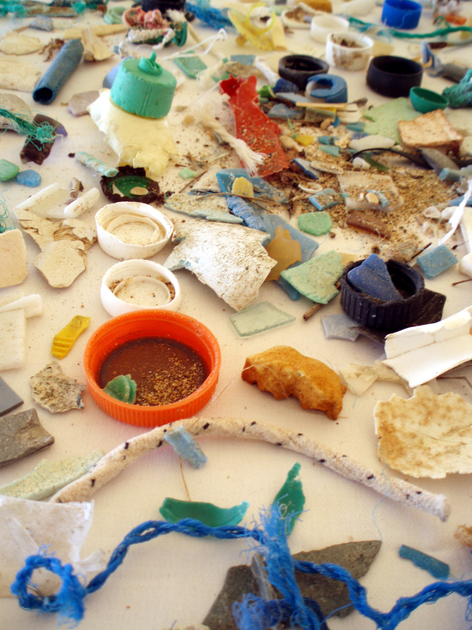 New insights to address plastic pollution - Living, News, Paganism, U.S ...