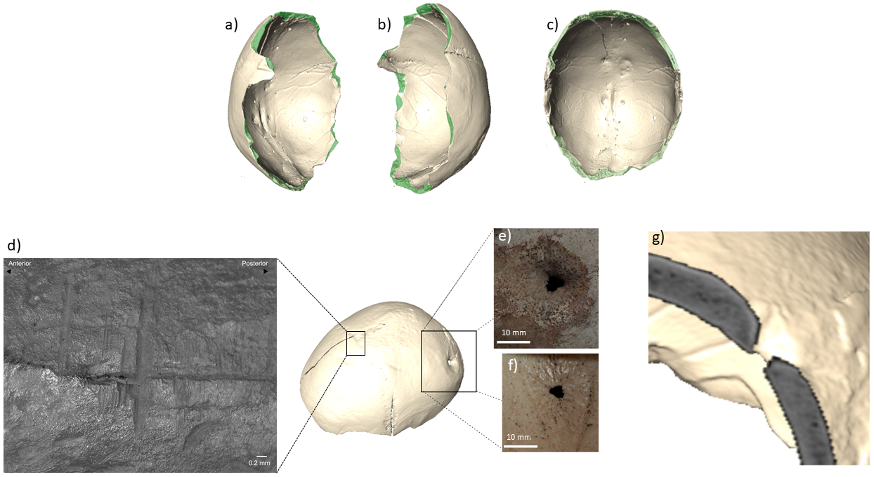 "As above so below:" a cup crafted from a human skull raises question ...