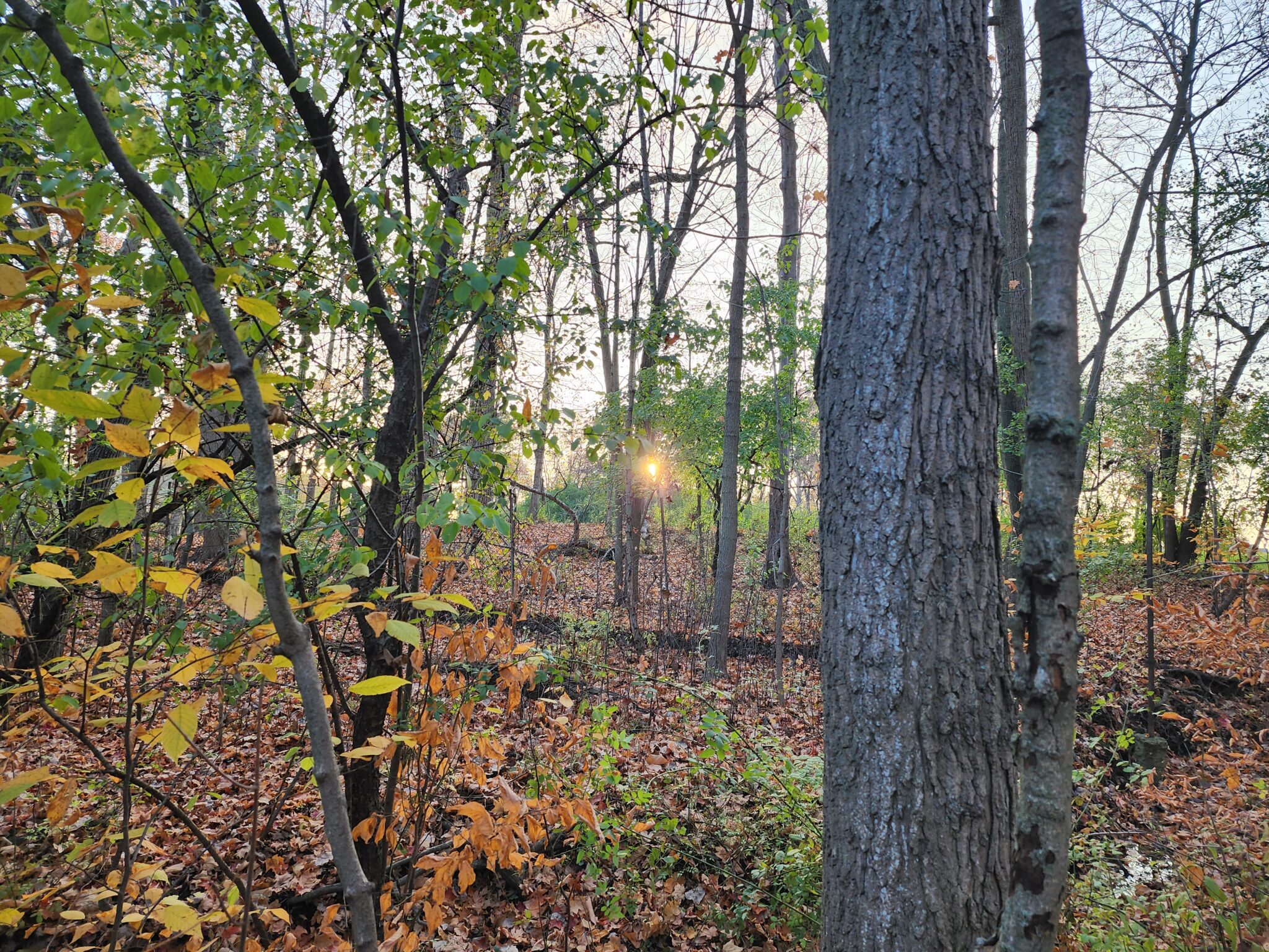 Heathen Archives - The Wild Hunt