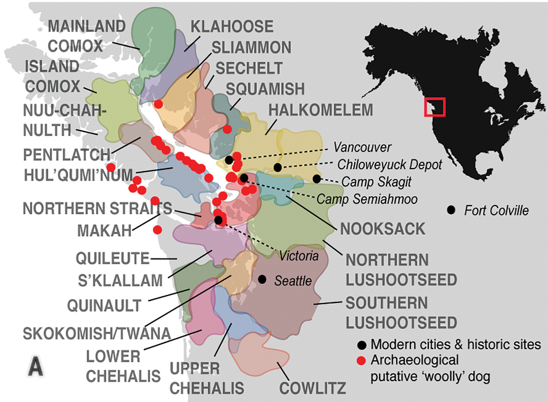 Mutton, an Indigenous woolly dog, exposes more damage of colonialism ...
