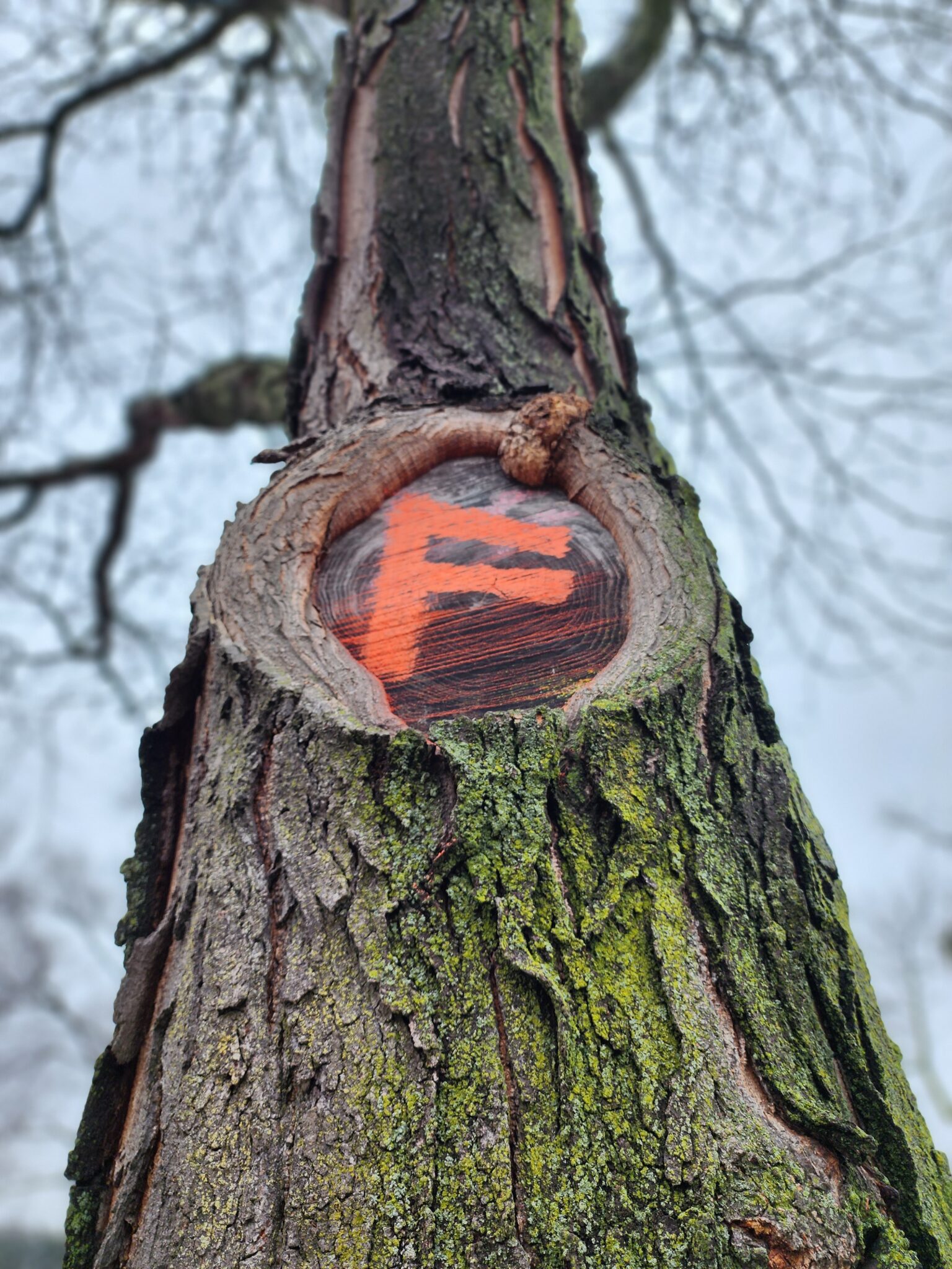 To Honor the Gods - Living, Opinion, Paganism, Perspectives, Religion ...