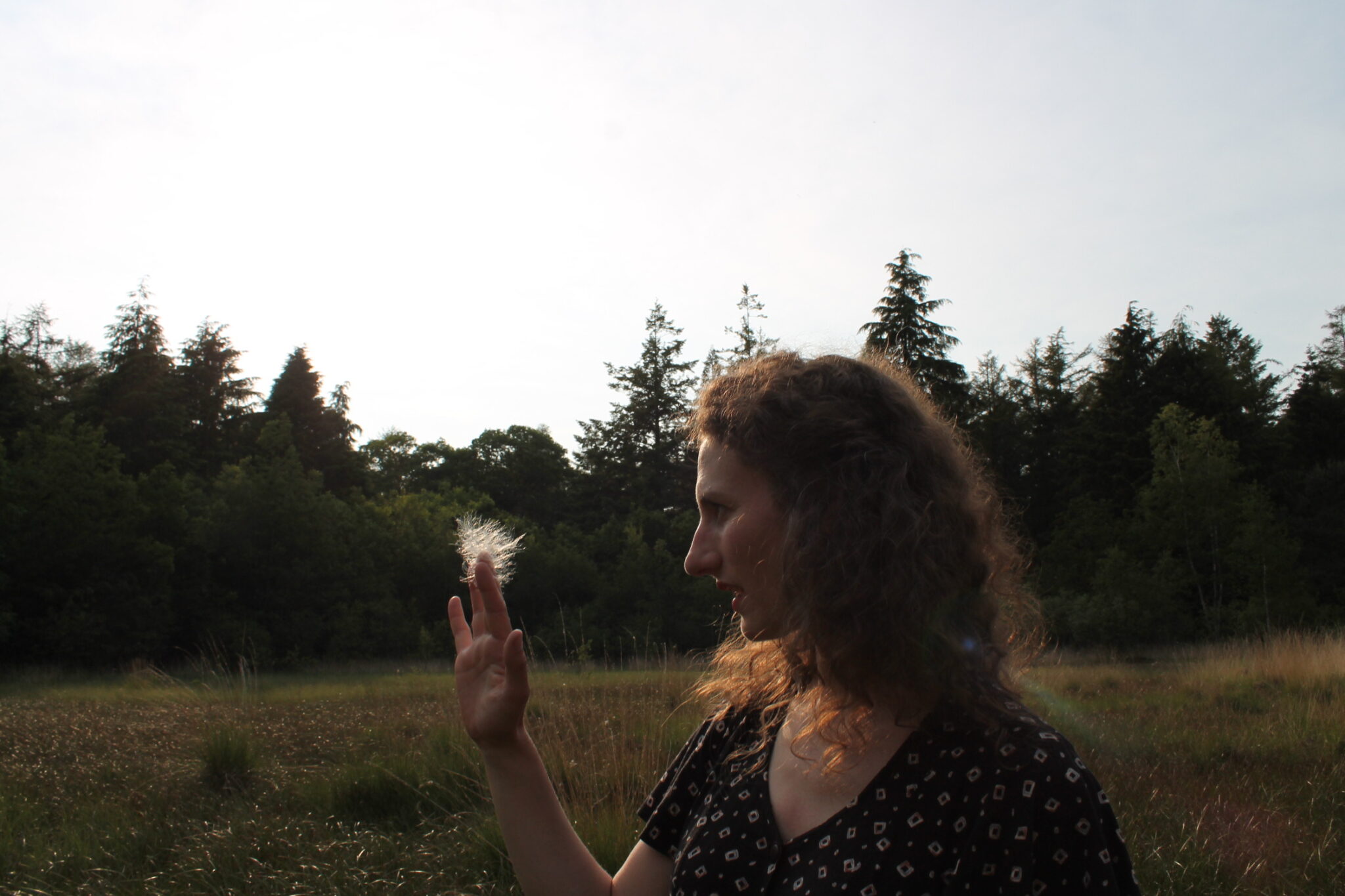 "A song is Pagan when we use it in a Pagan way": Danica Boyce on folk ...