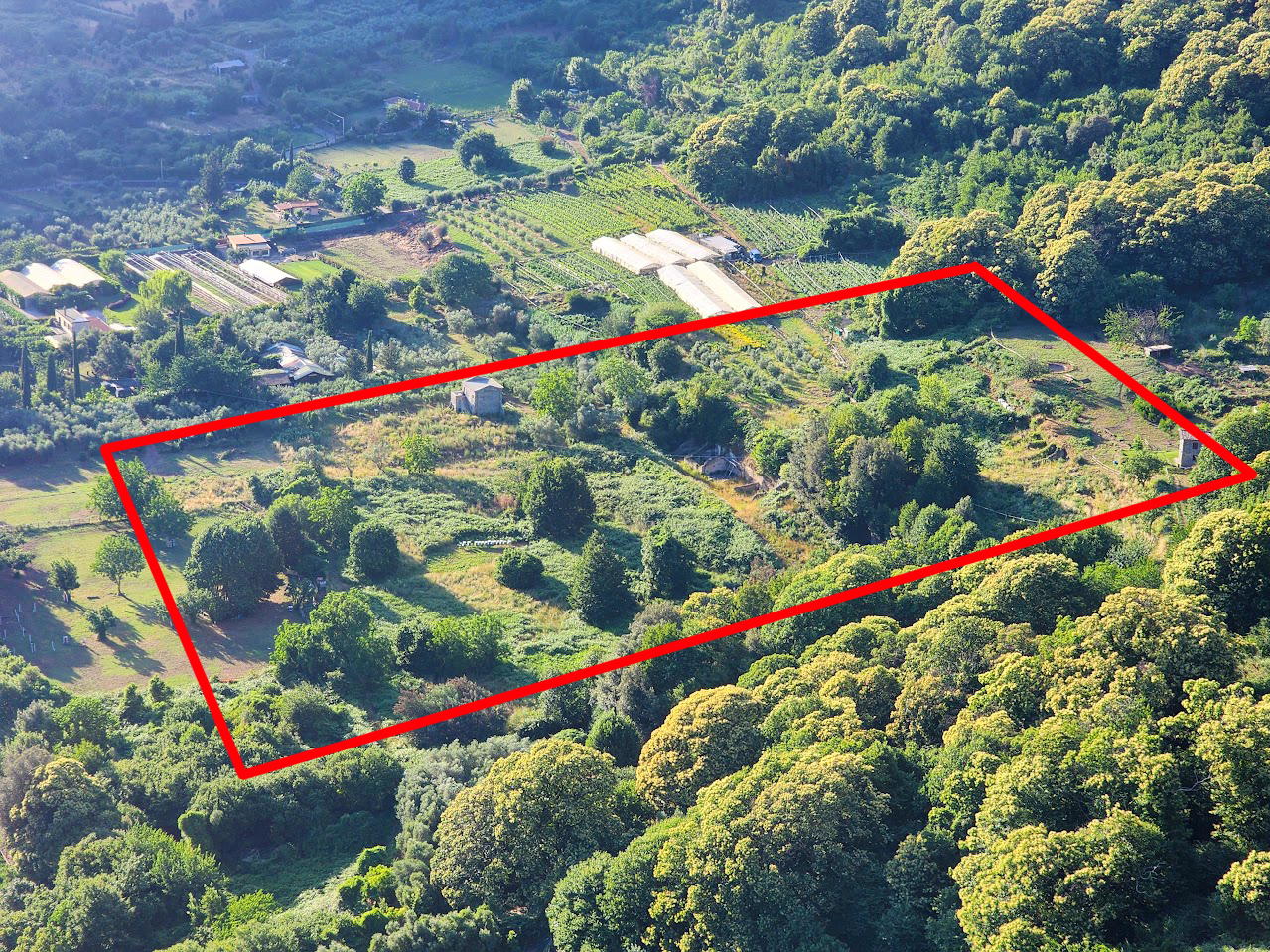 The Sanctuary of Diana Nemorensis receives restoration funding - Europe ...