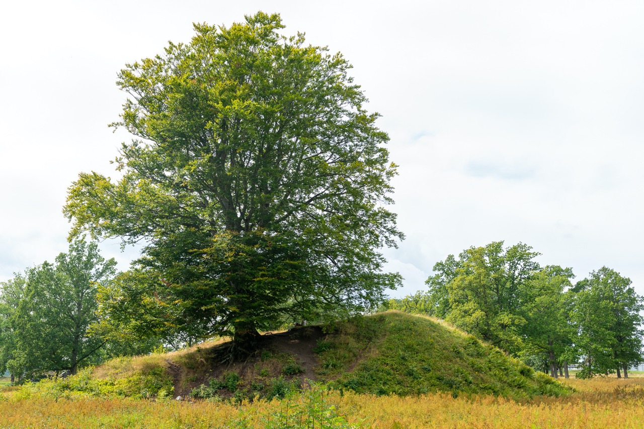 Midgardsblot 2025: Return to the Blot-Mounds - Arts & Culture, Culture ...